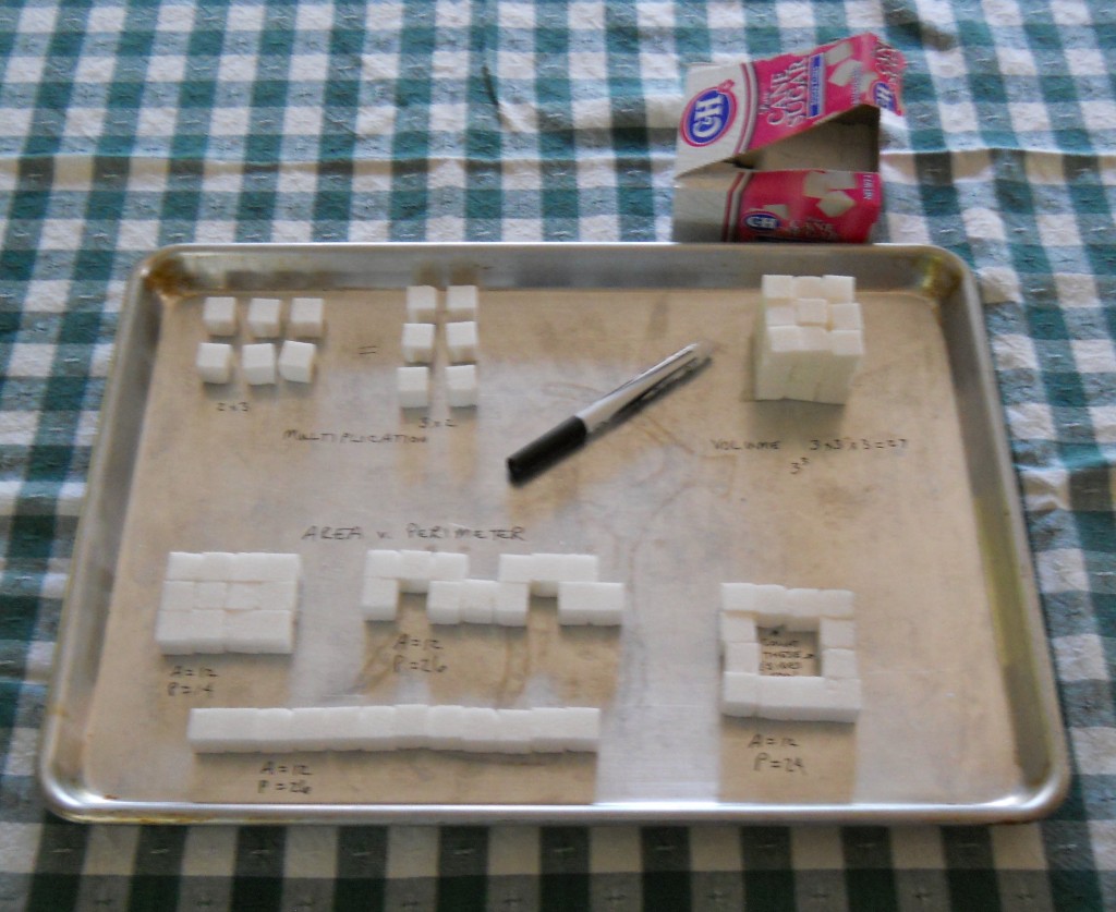 Workshop Wednesday: Sugar Cube Math, Part 2 - Guilt-Free Homeschooling